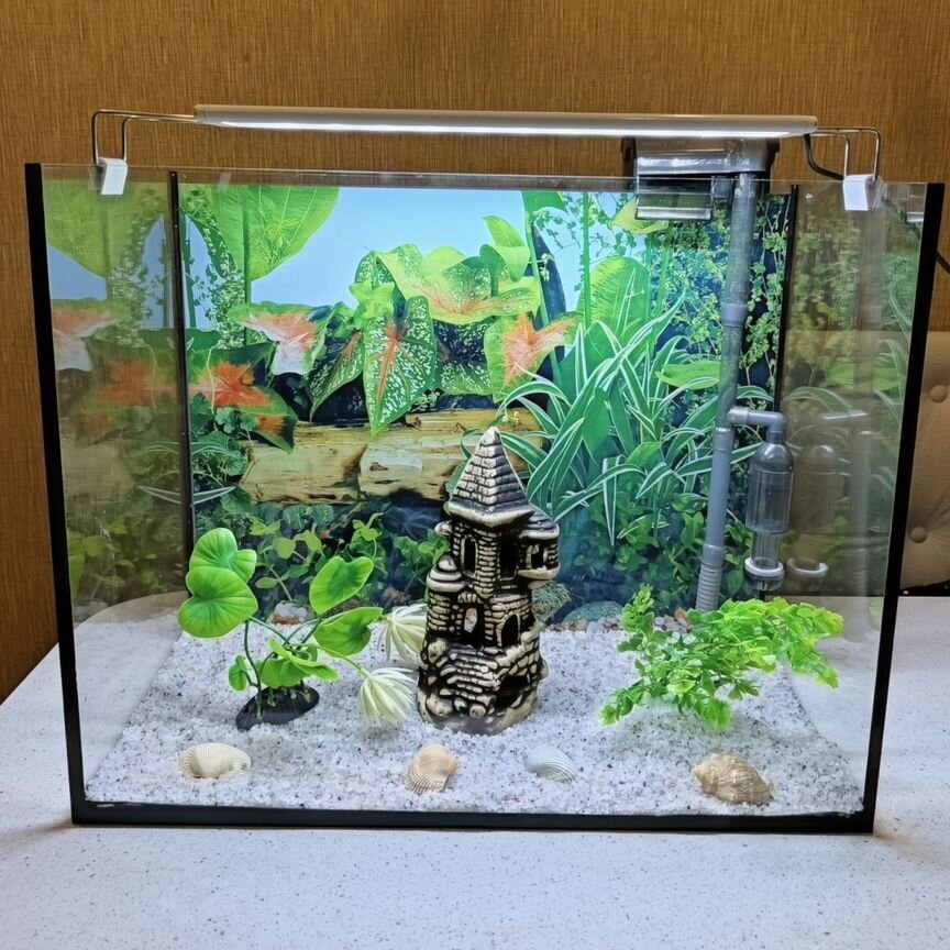 Аквариум на 50 литров
