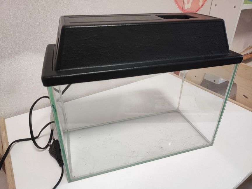 Аквариум / террариум