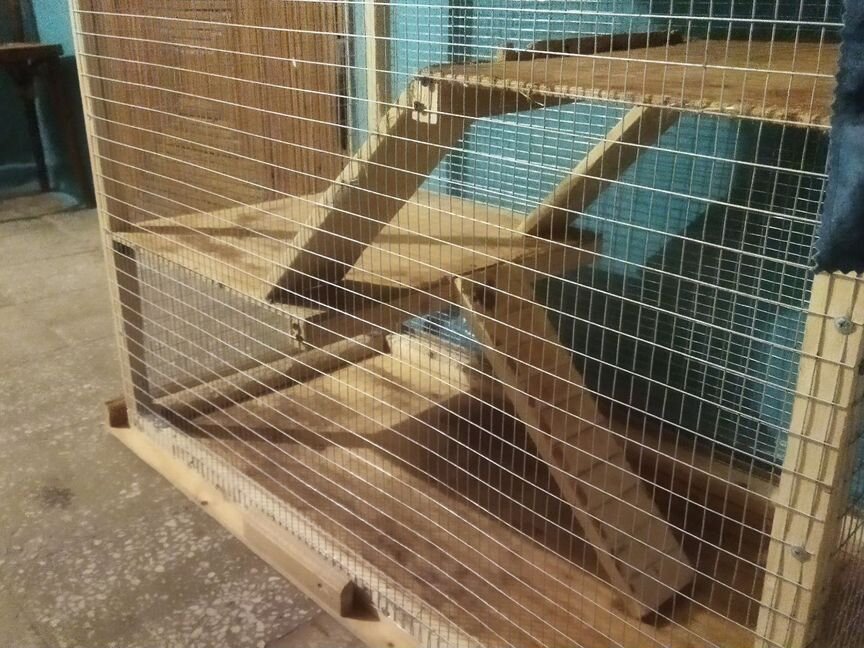 Клетка для грызунов очень большая