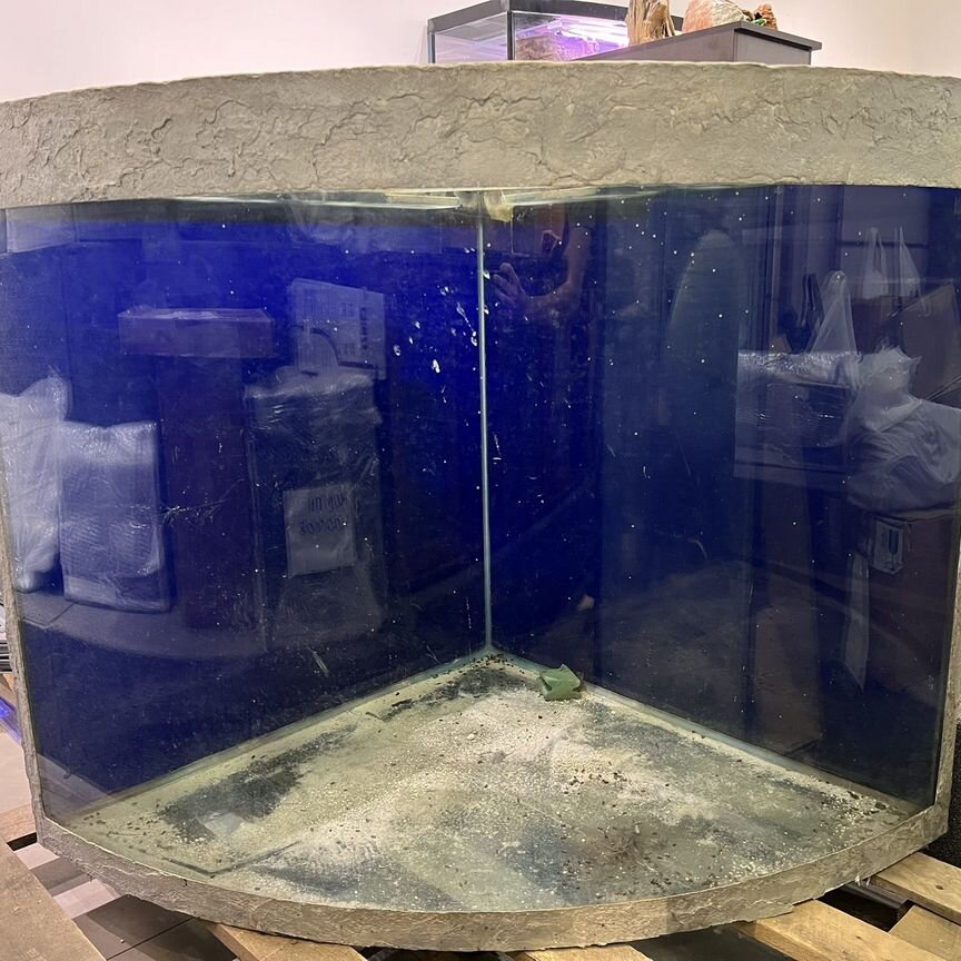 Аквариум бесплатно