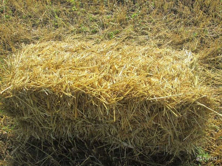 Солома ячменная в тюках