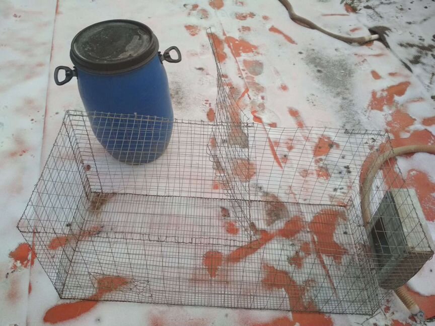 Клетка для кроликов, циплят и т.д