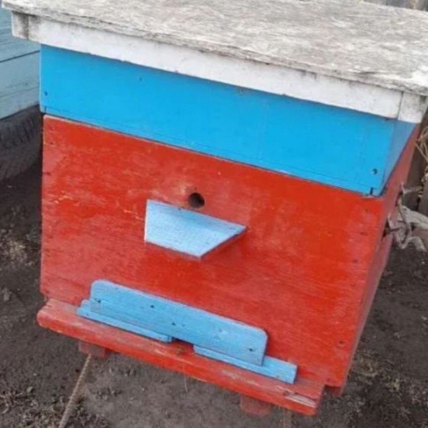 Улей для пчел дадан 12 рамок