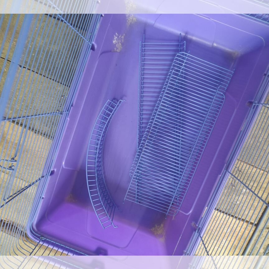 Клетка для грызунов бу