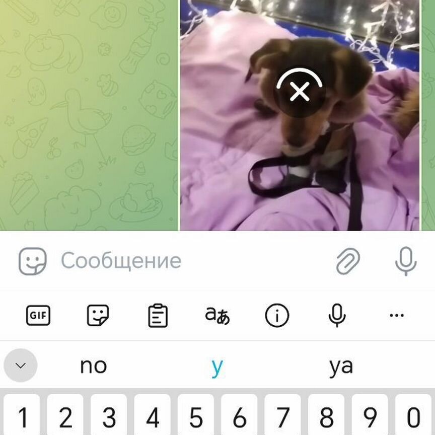 Собака в добрые руки отдам бесплатно