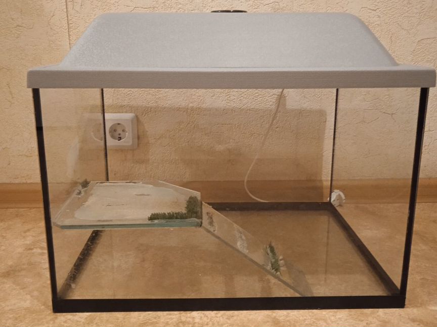 Аквариум для красноухой черепахи