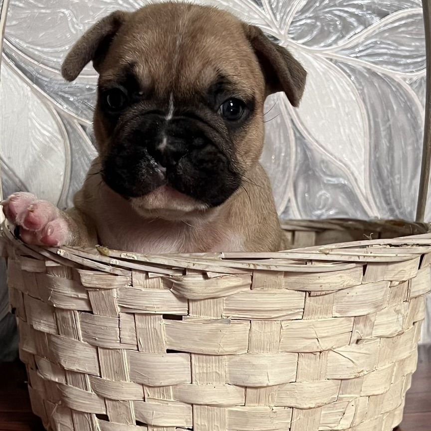 Сладкий пирожок