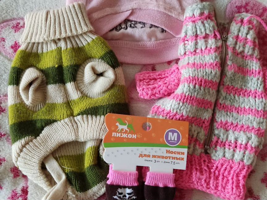 Одежда для маленьких собак