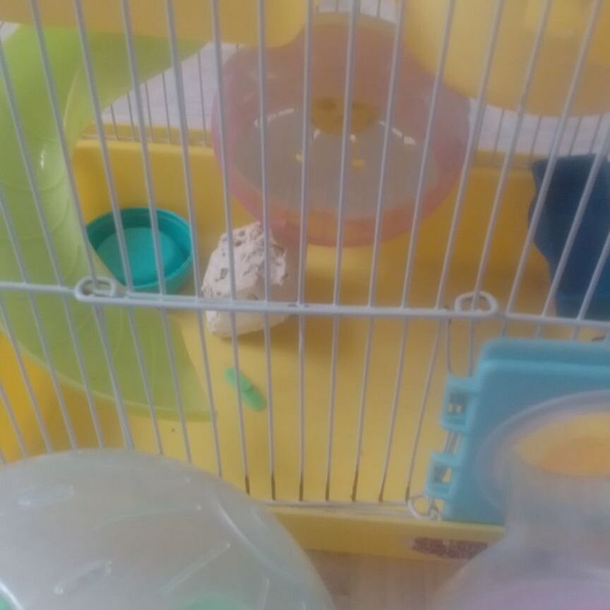 Клетка для грызунов