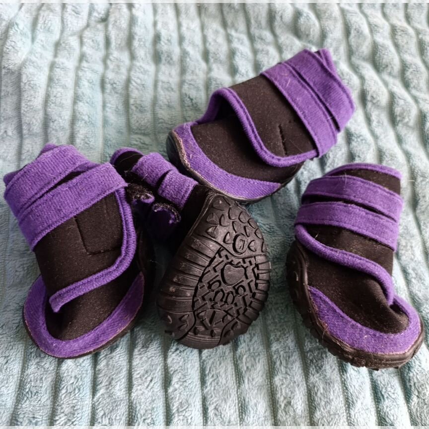 Неопреновые ботинки для собак