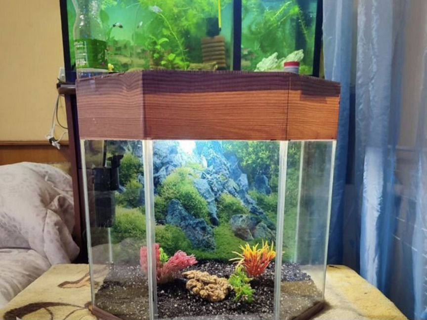 Аквариум 50л