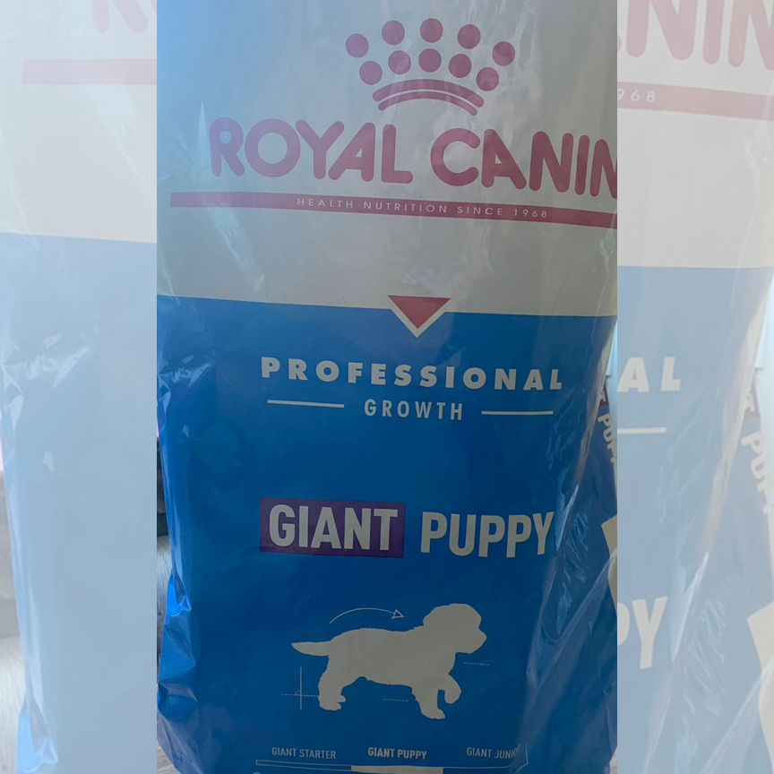 Корм для собак