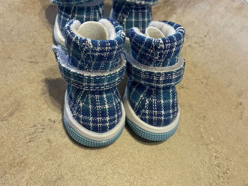 Кеды для собак