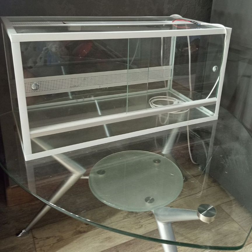 Террариум для змеи бу