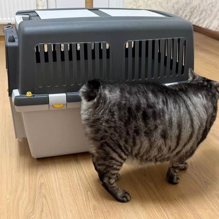 Переноска для собак и кошек в самолет Gulliver 4