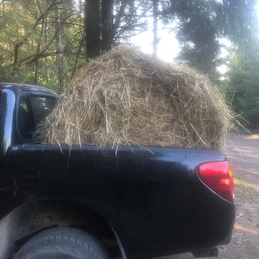 Продам сено в рулонах