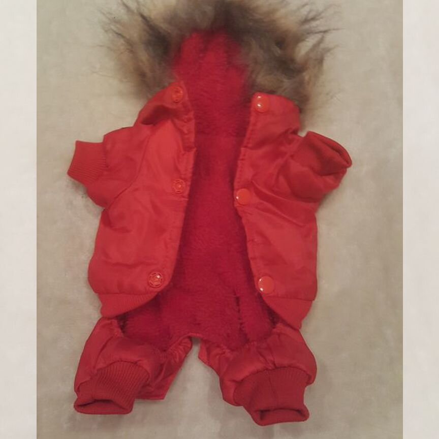 Куртка утепленная для мини той-терьера