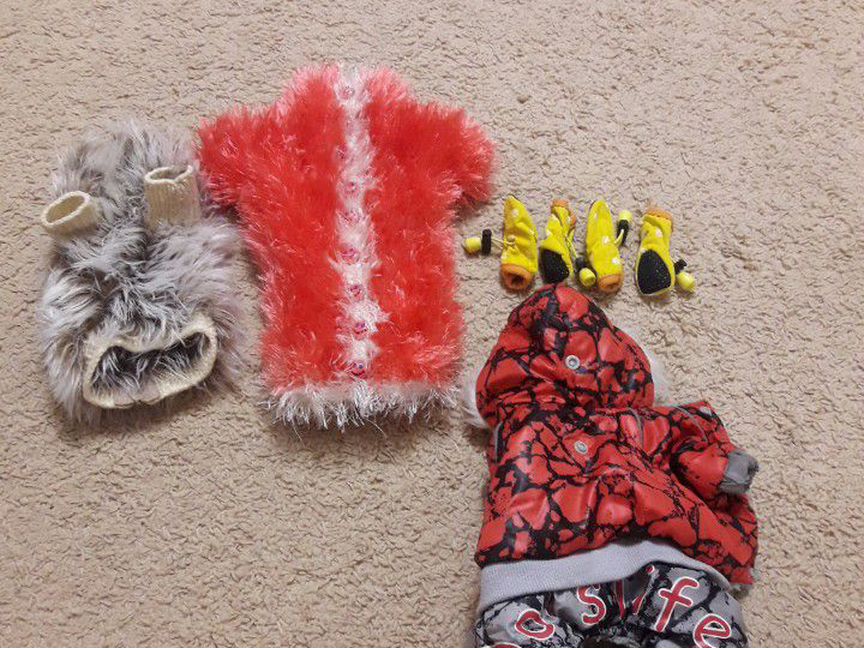 Одежда для собаки