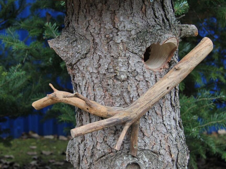 Дуплянка-бельчатник