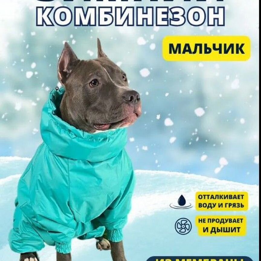 Зимний комбинезон для собак (кобель)