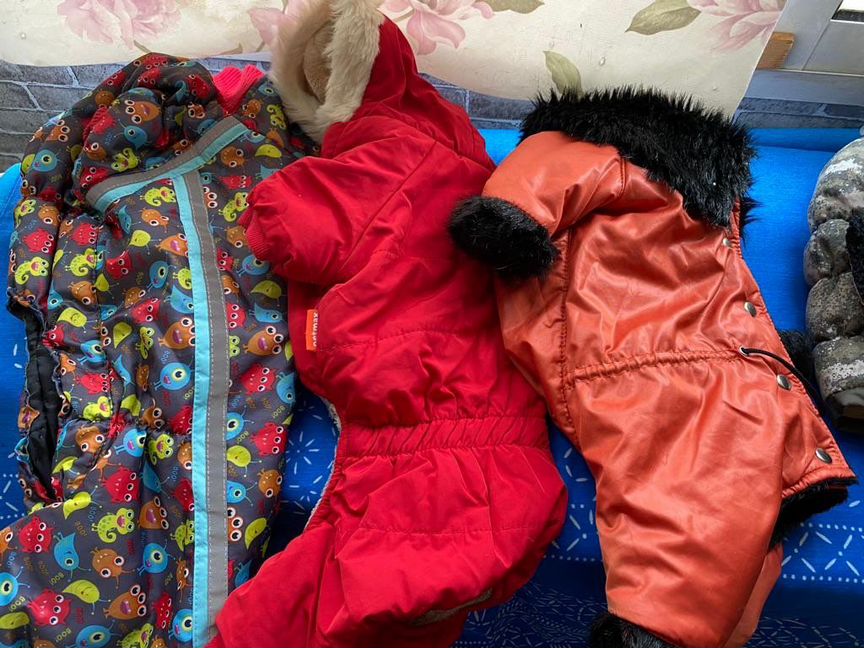 Одежда для собак