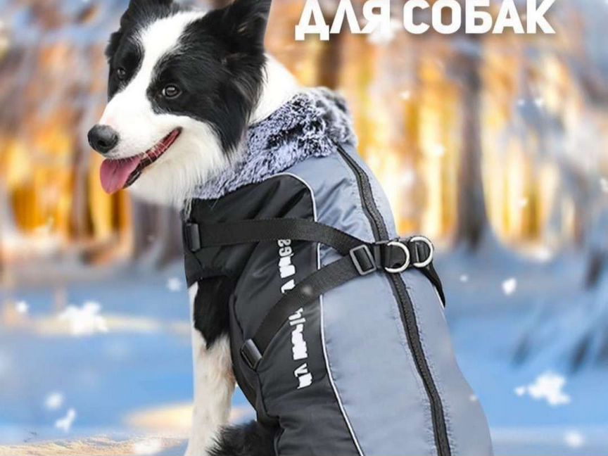 Жилет зимний для собак