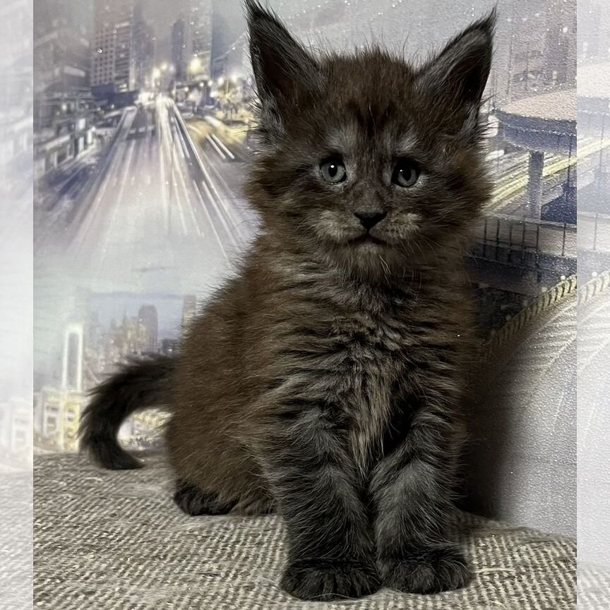 Девочка черный дым