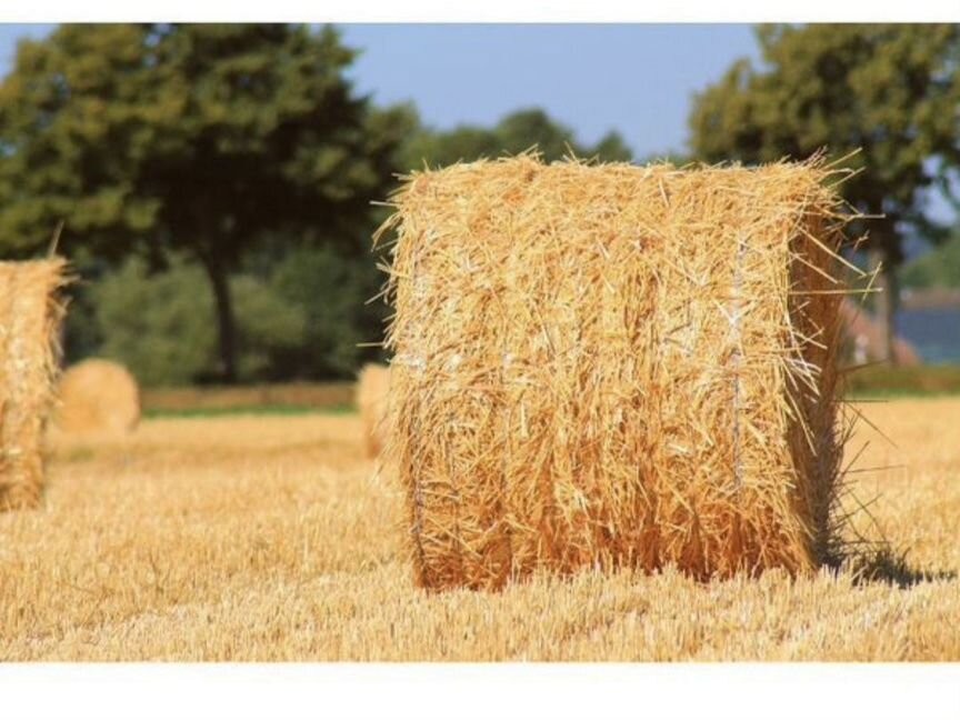 Солома в рулонах