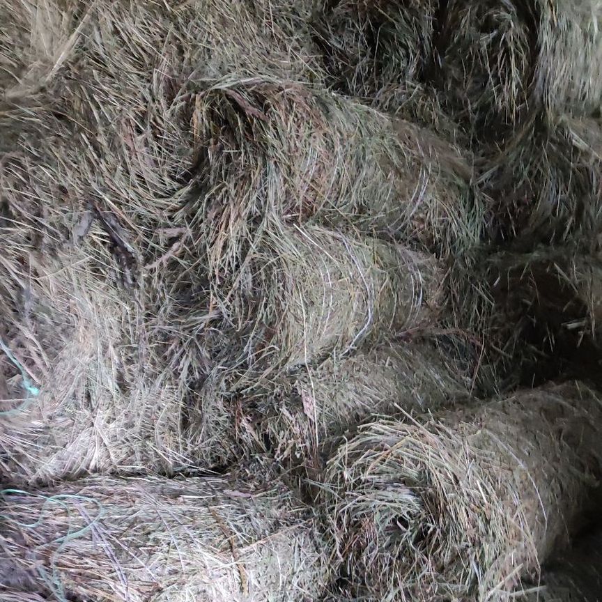 Сено в минирулонах