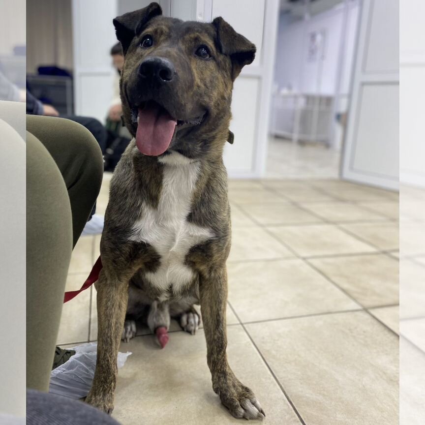 Бонд ищет семью