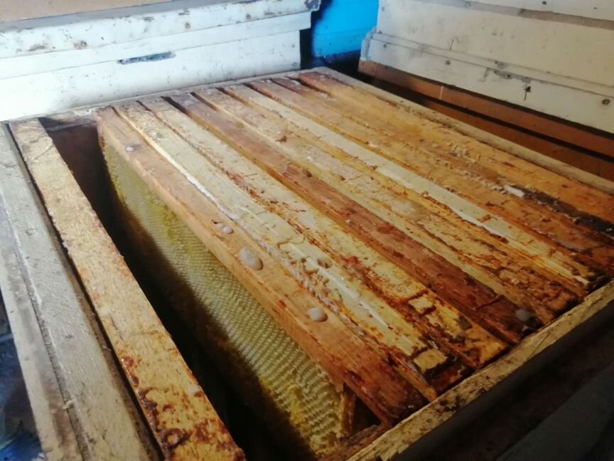 Рамки сушь для ульев