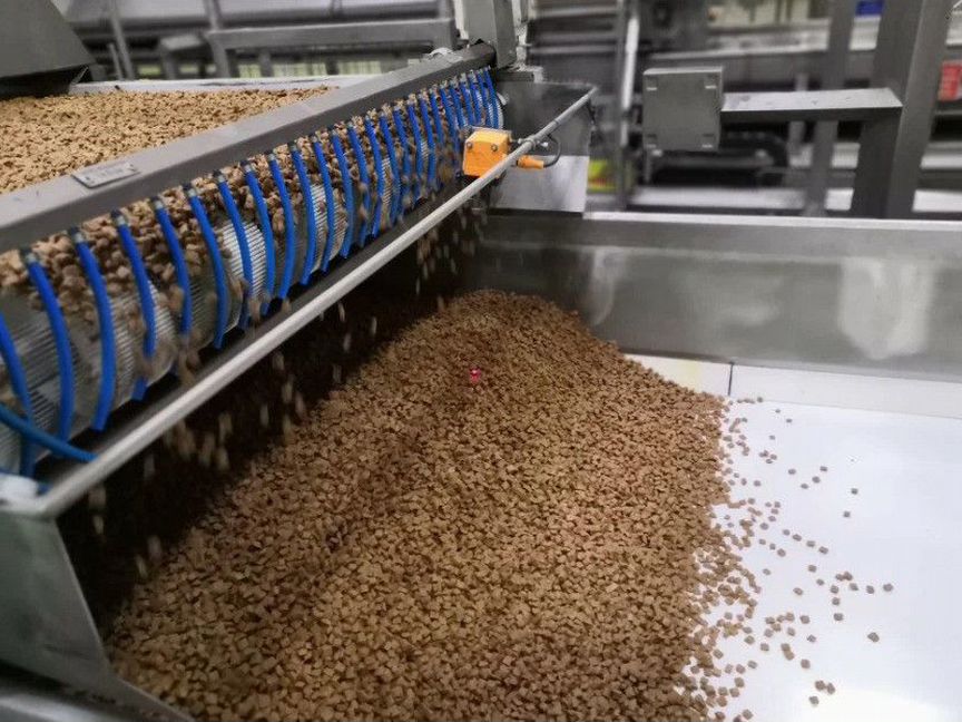 Корм для свиней