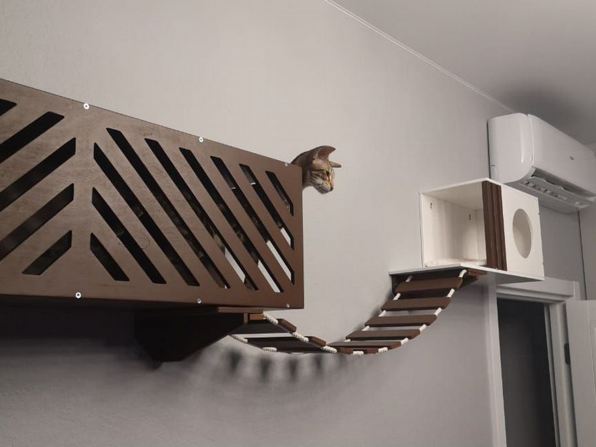 Настенный комплекс для Кошек