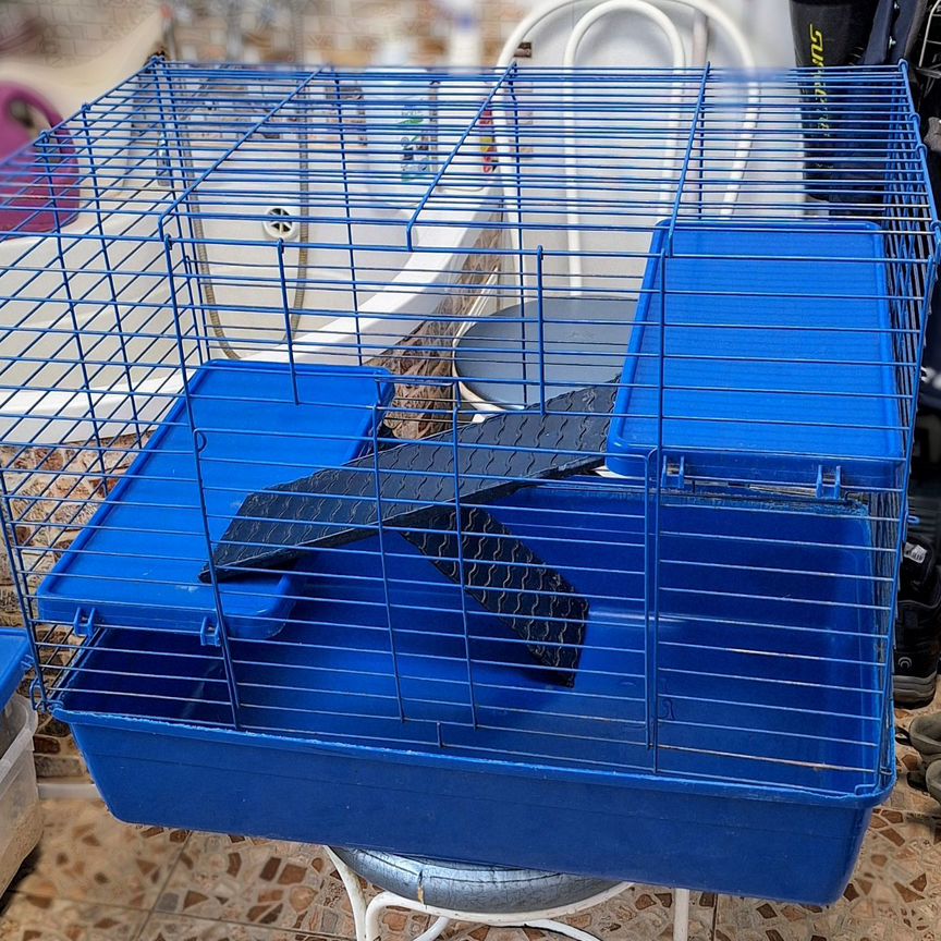 Клетка для шиншиллы и все,все,все