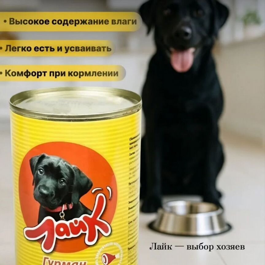 Корм для собак