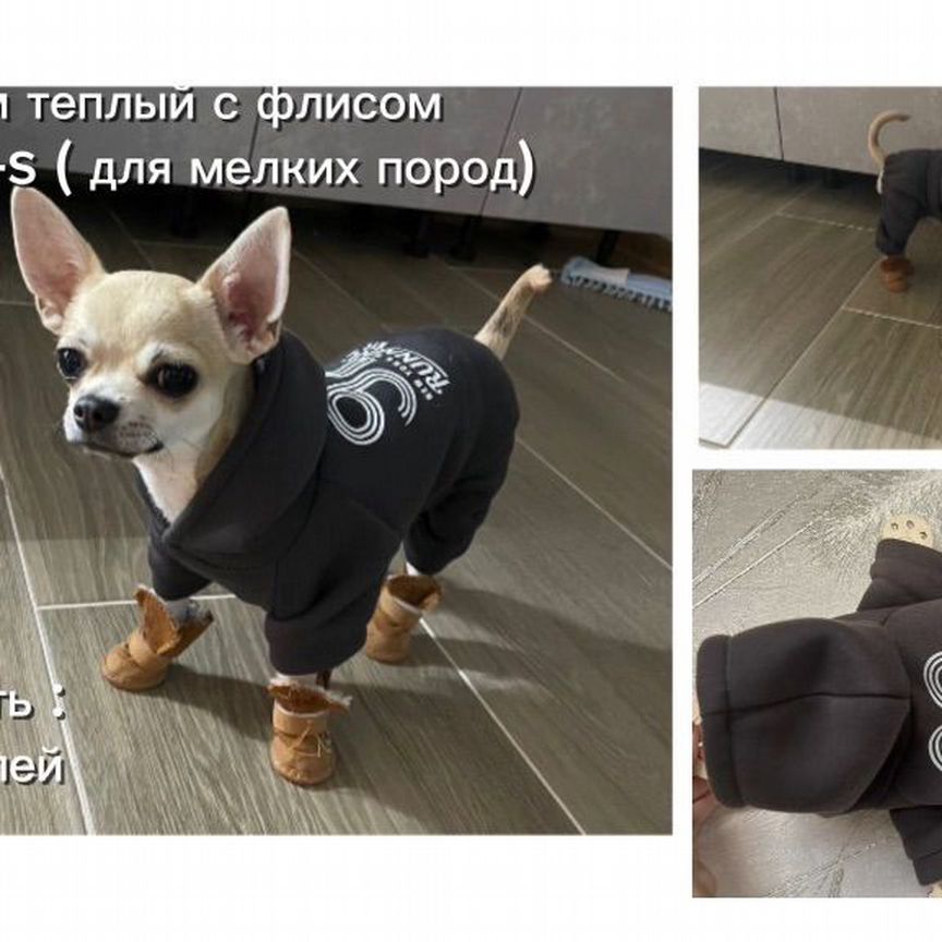 Одежда для собак мелких пород в хорошем состоянии