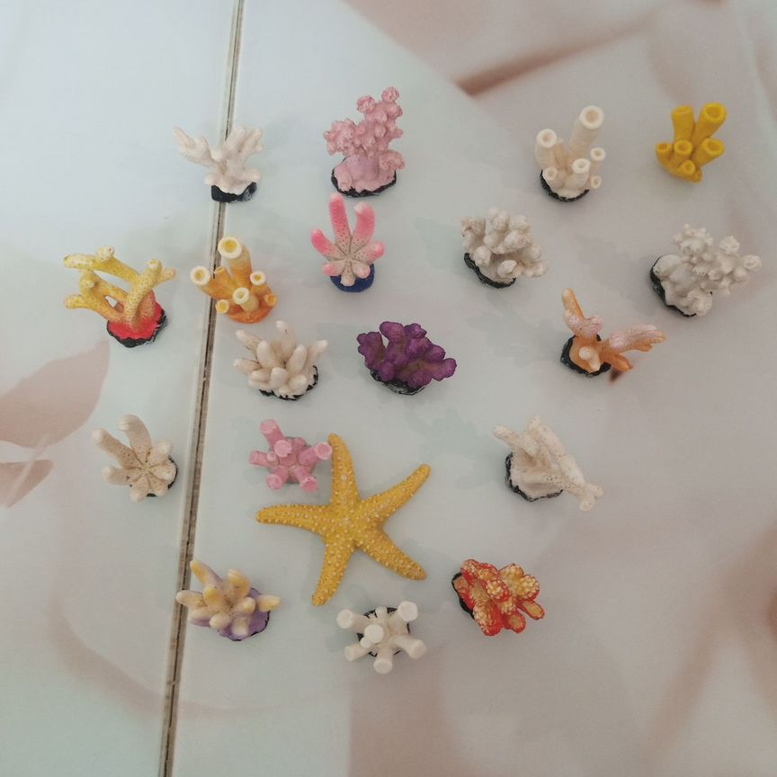 Кораллы для аквариума