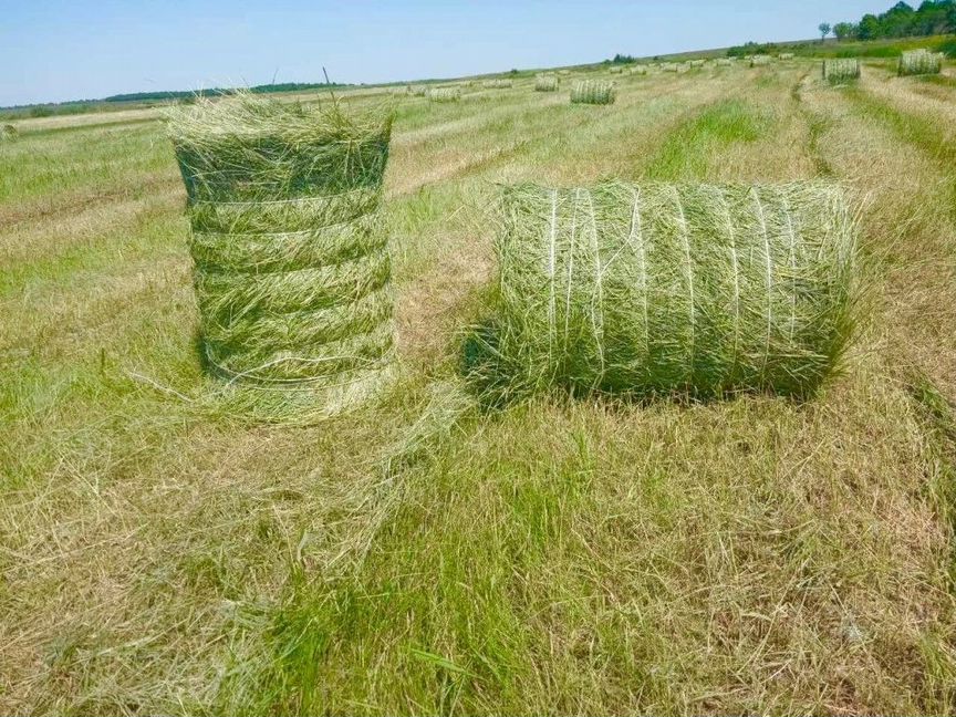 Сено луговое в тюках
