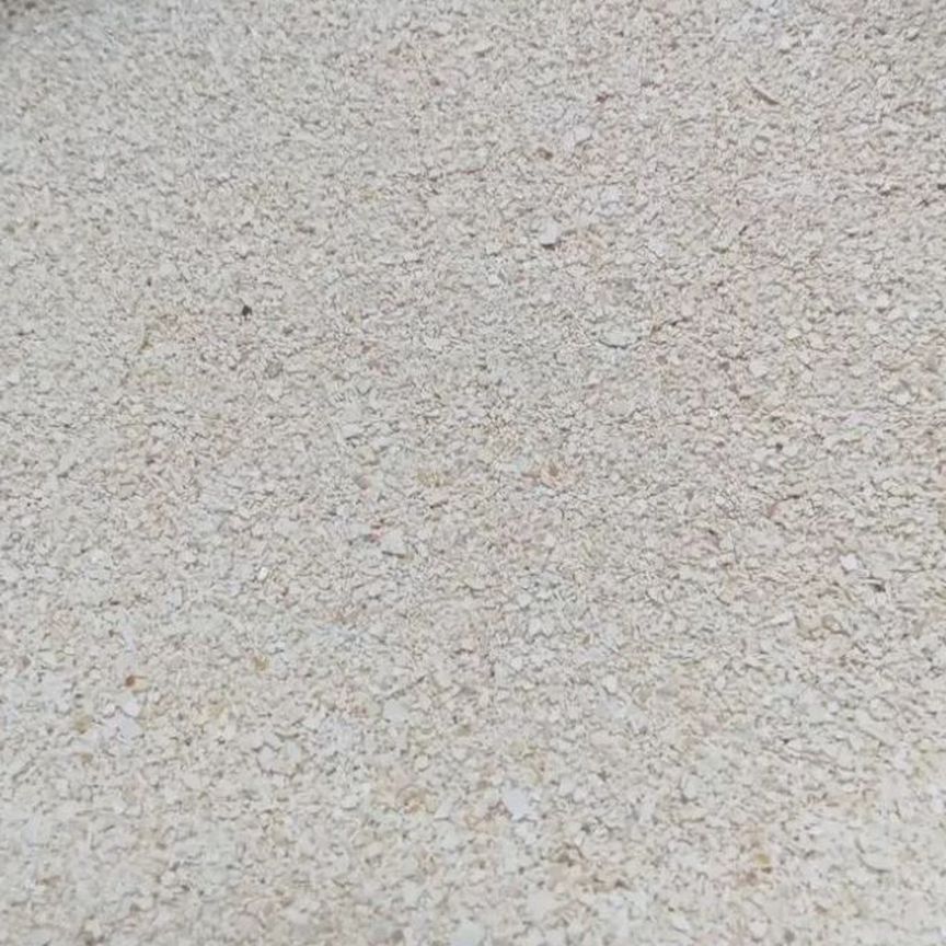 Яичная скорлупа для прикорма