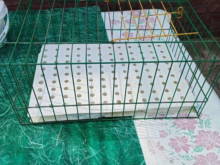 Клетка для декоративного кролика