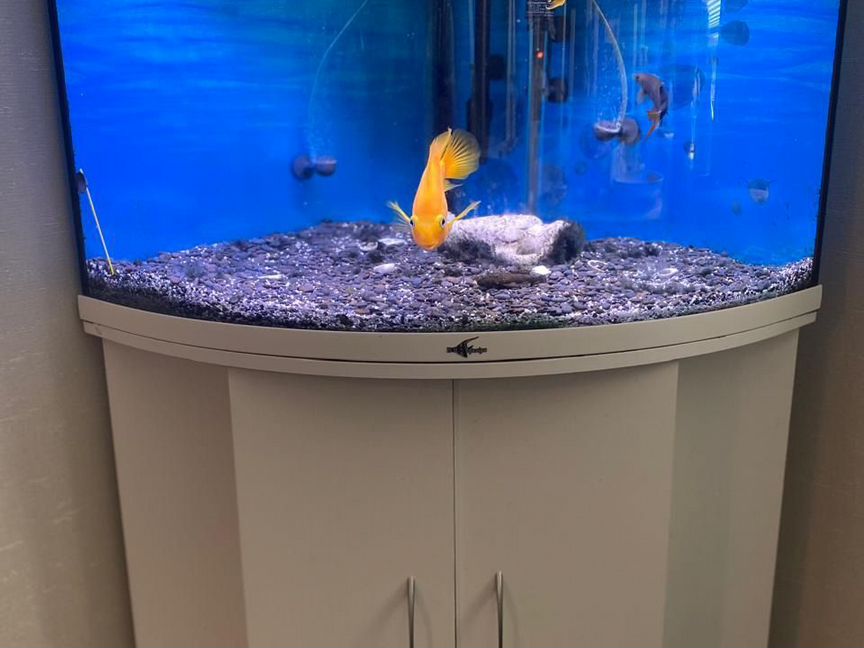 Аквариум с тумбой