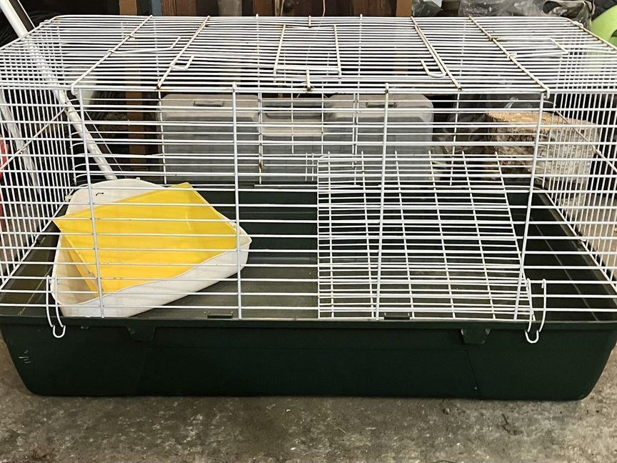 Клетка для грызунов большая