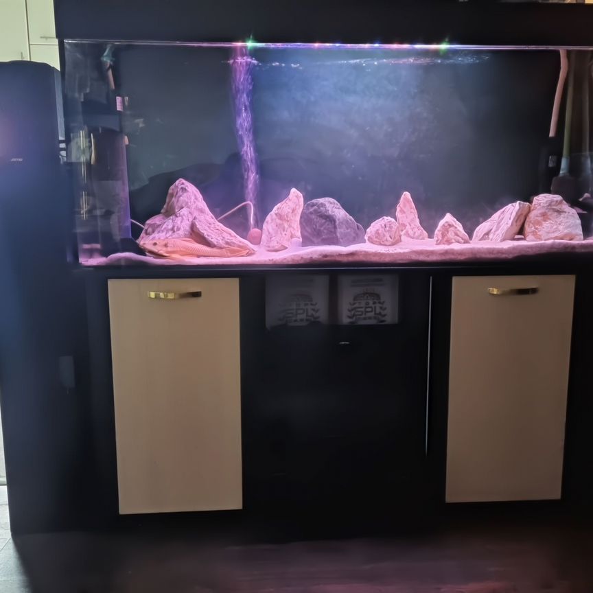 Аквариум с тумбой 300 литров