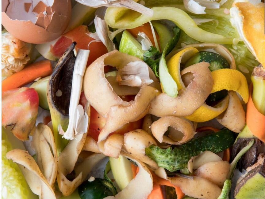 Пищевые отходы для животных