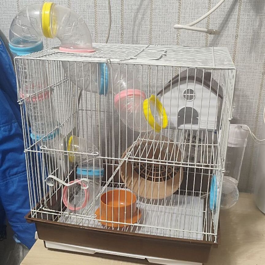 Клетка для хомяка с полным "приданым"