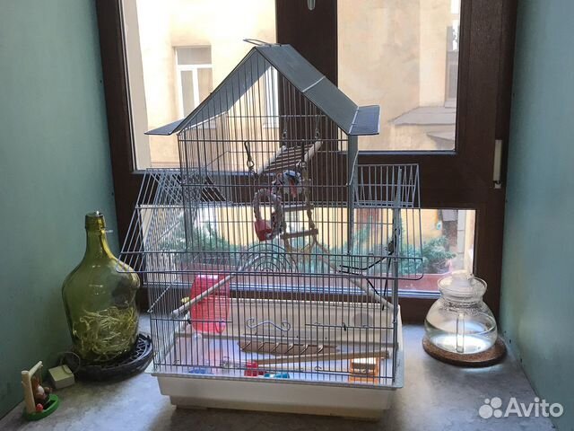 Клетка для крыски или птички купить в Санкт-Петербурге | Животные и ...