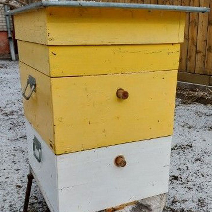 Улья рутовские