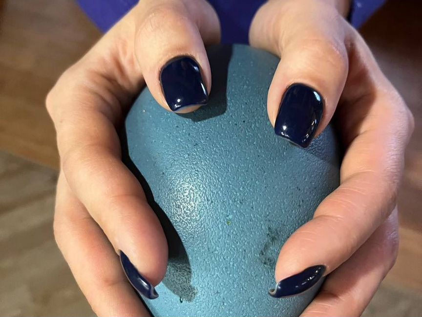 Страусинное яйцо