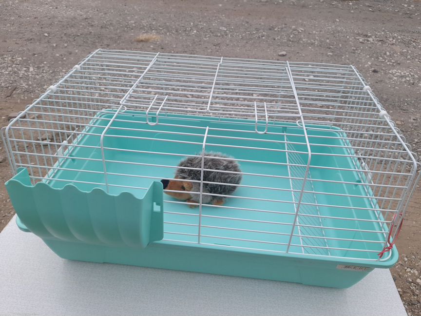 Большая клетка для грызунов