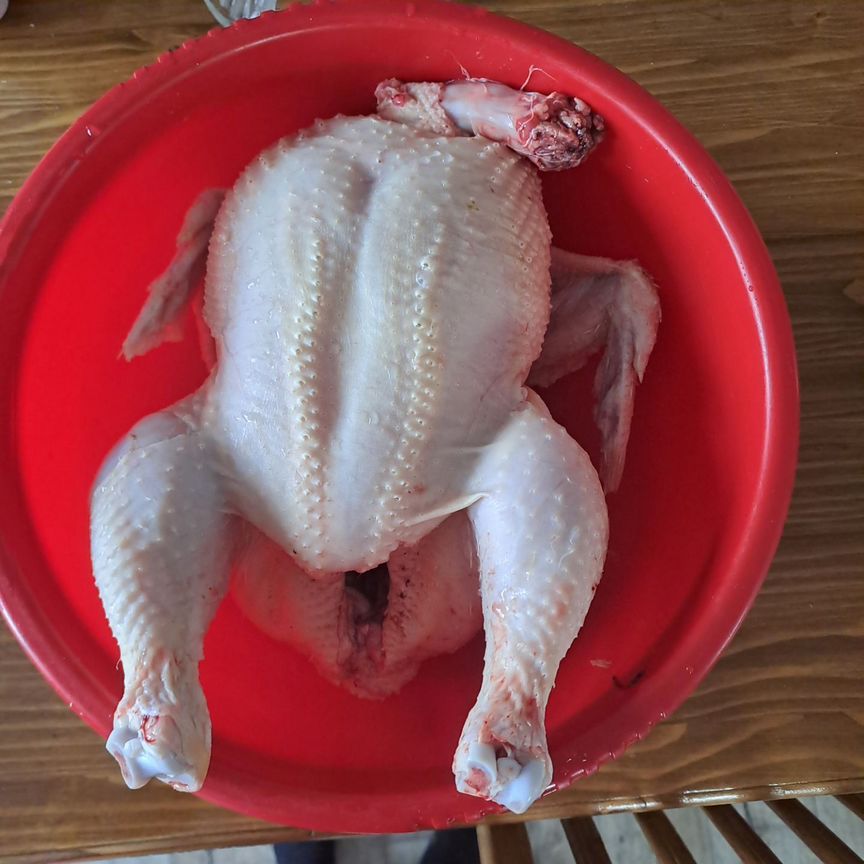 Цыплята бройлеры